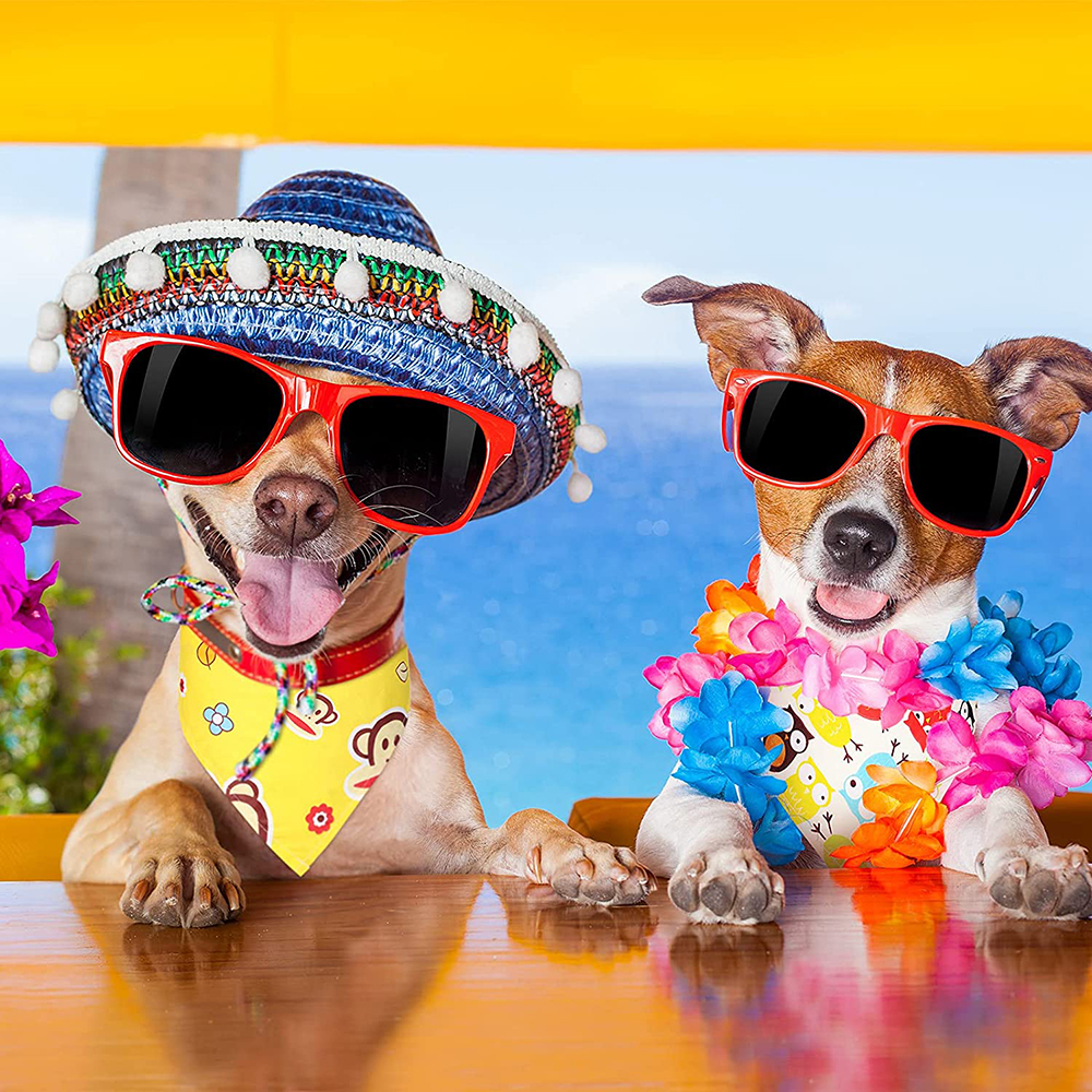 Wholesale DIY Sublimation Pet Bandana Heat Transfer Washable Triangle ...